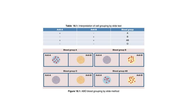 Blood Grouping | PPT