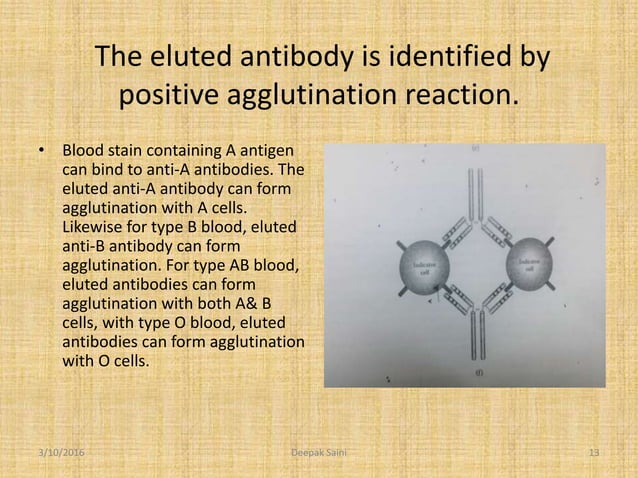 Blood grouping from absorption elution technique | PPTX | Blood ...