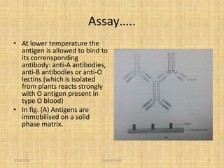 Blood grouping from absorption elution technique | PPTX
