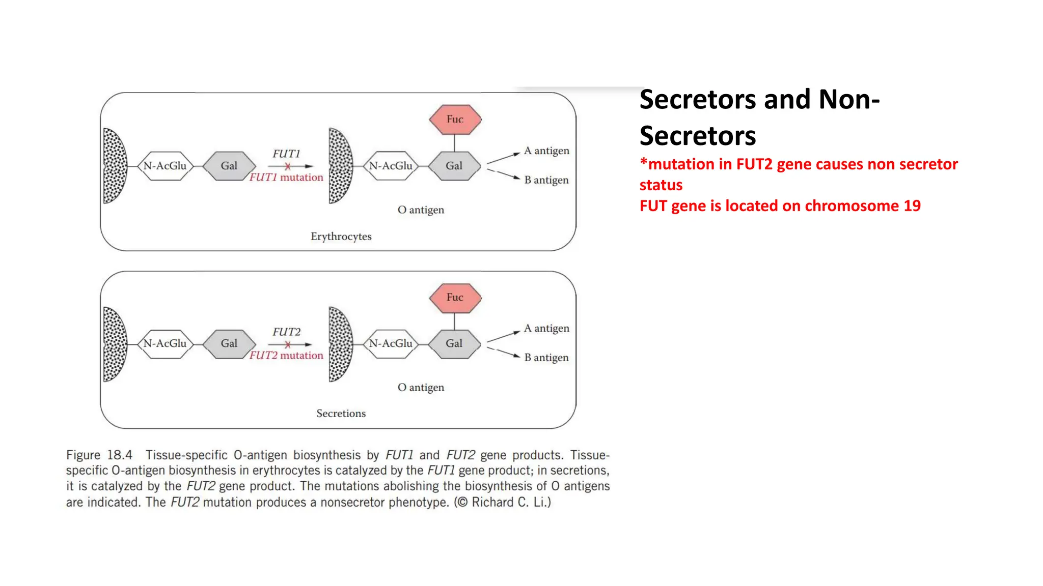 Blood grouping from bloodstains.pptx