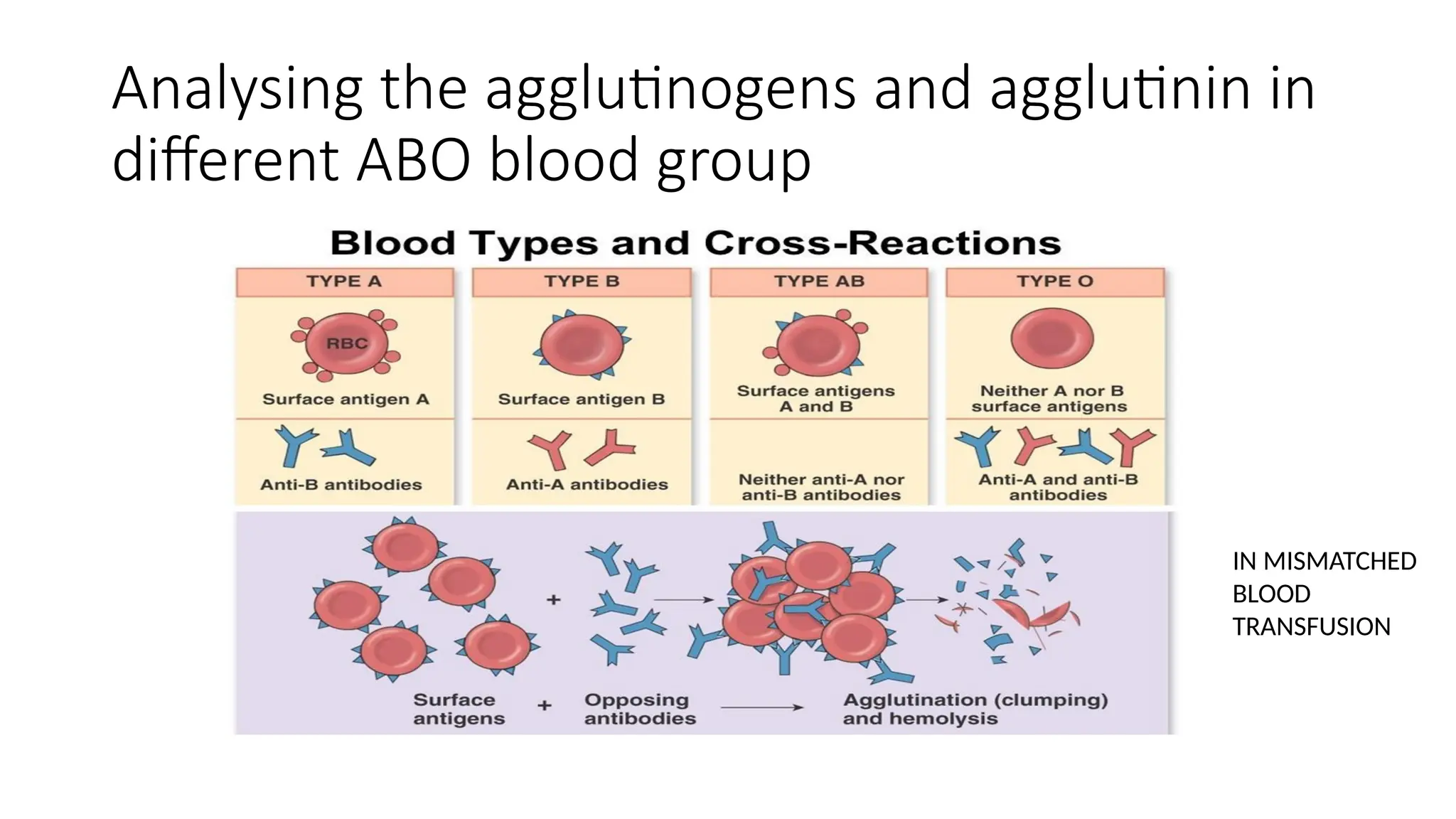 Blood grouping in Humans................. | PPTX