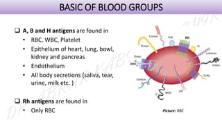 BLOOD GROUPING METHODS by Dr. Abrar Kabir Shishir.pdf