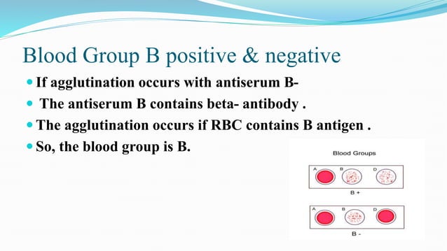 Blood Groups physiology & transfusion reactions. .pptx