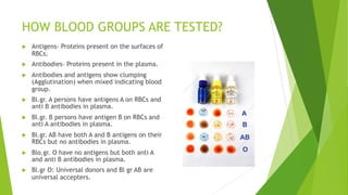 Blood group inheritance | PDF
