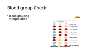 Blood group interpretation A,b,Ab,o positive.pptx