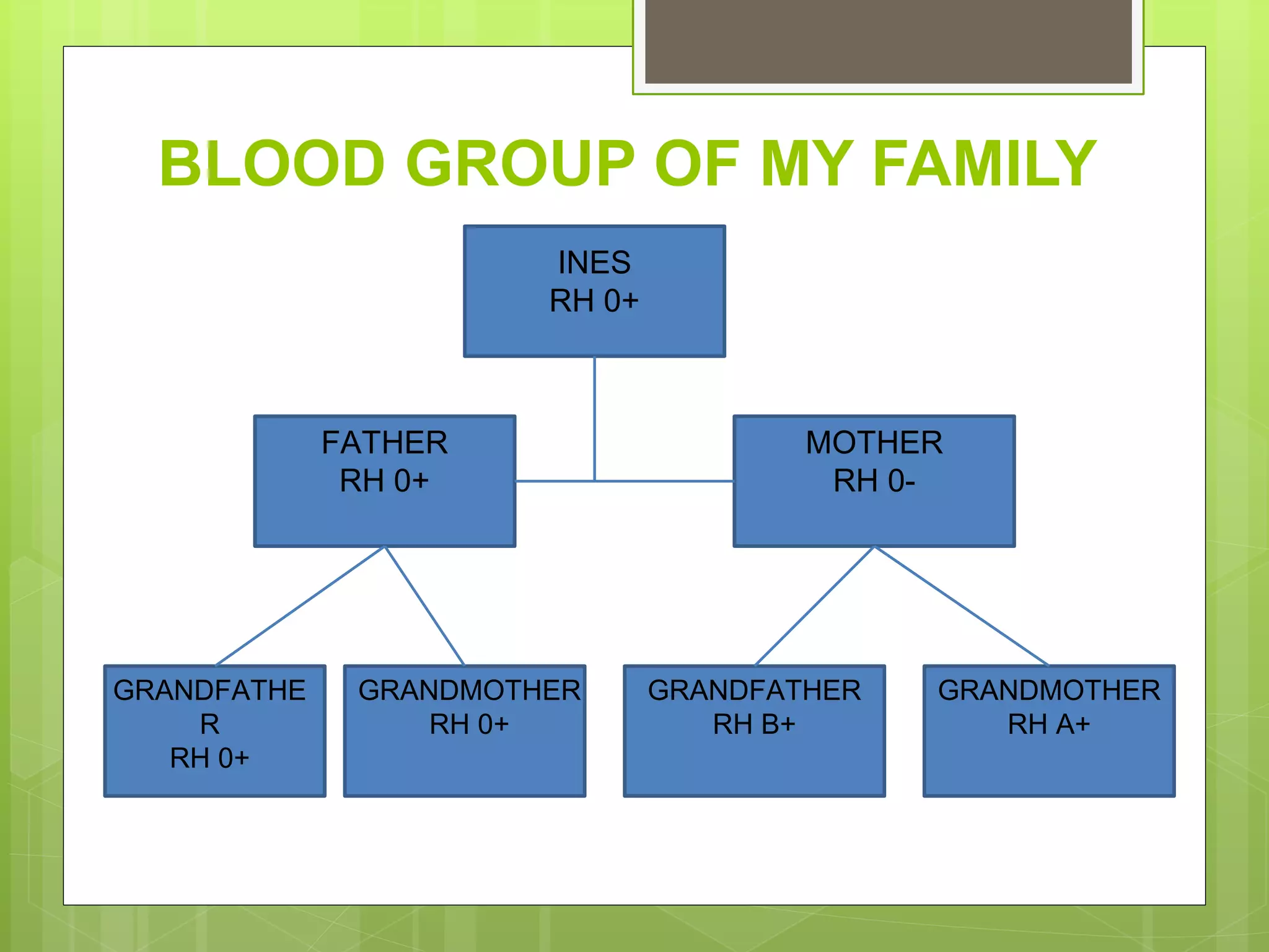 Blood group of my family and digestive system | PPTX