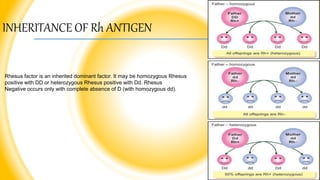 Blood group (population genetic and evolution) by nagendra sahu | PPT