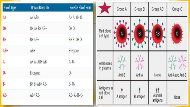 Blood group (population genetic and evolution) by nagendra sahu | PPT