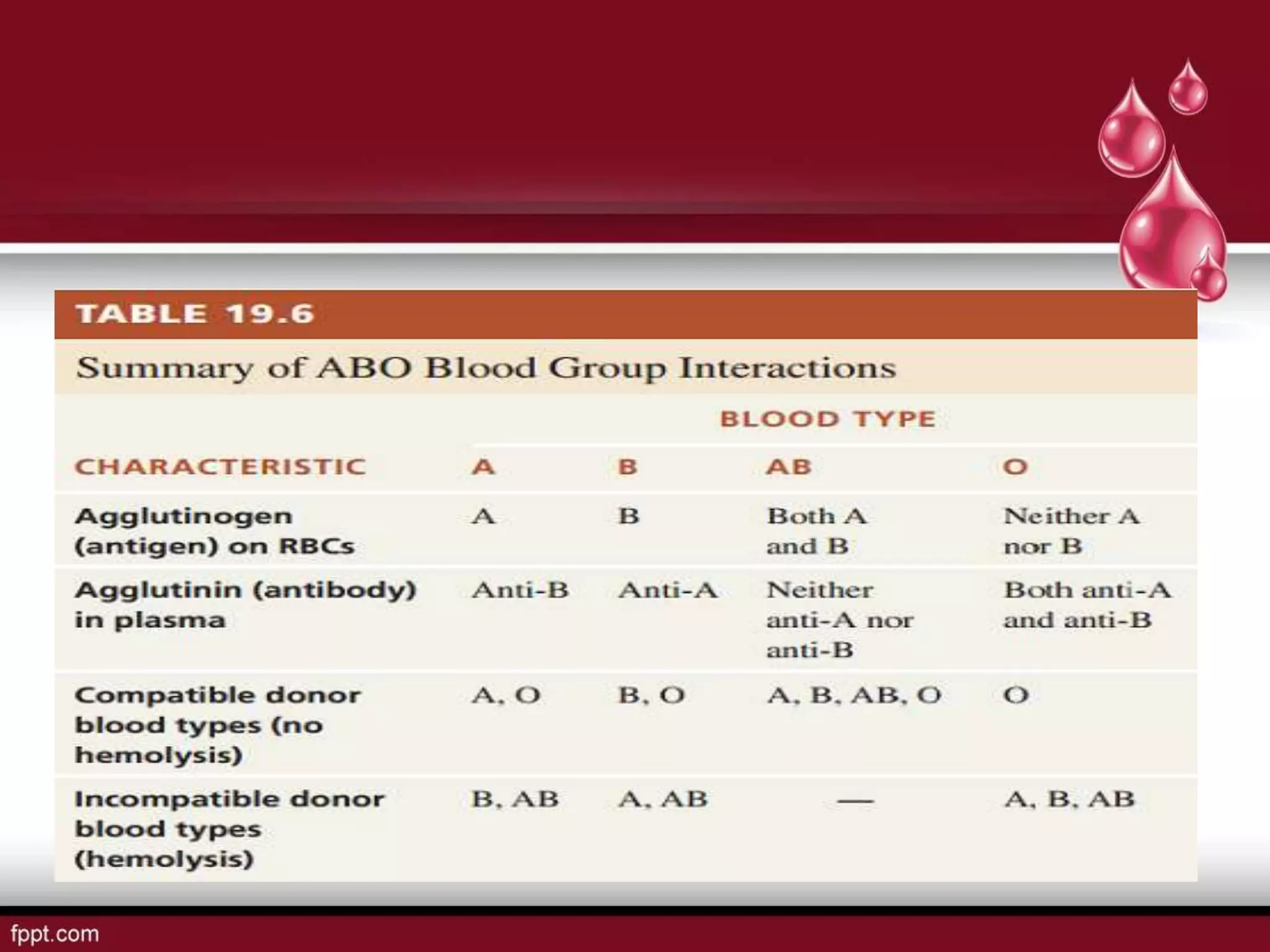 Blood groups ppt | PPTX