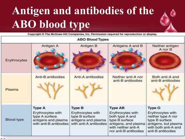 Blood groups ppt | PPTX | Blood Disorders | Diseases and Conditions