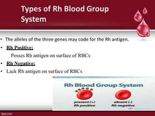 Blood groups ppt | PPTX