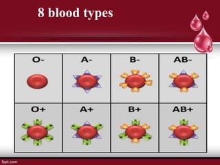 Blood groups ppt | PPTX