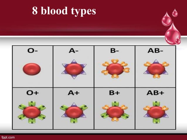 Blood groups ppt | PPTX | Blood Disorders | Diseases and Conditions