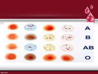 Blood groups ppt | PPTX