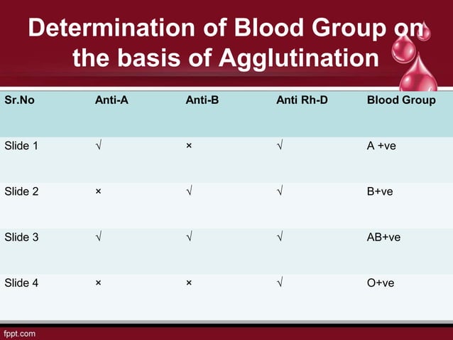 Blood groups ppt | PPTX | Blood Disorders | Diseases and Conditions