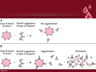 Blood groups ppt | PPTX