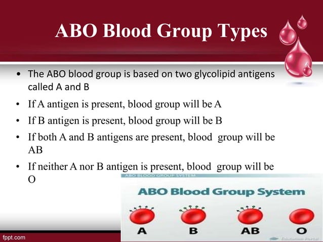 Blood groups ppt | PPTX | Blood Disorders | Diseases and Conditions