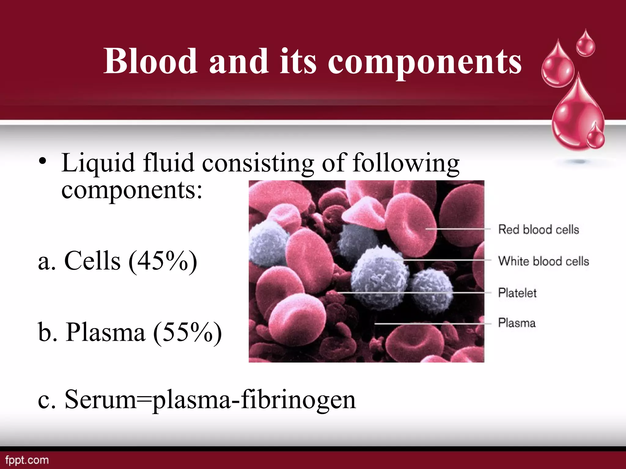 Blood group ppt | PPT