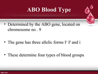 Blood group ppt | PPT