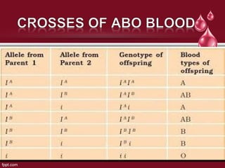Blood group ppt | PPT