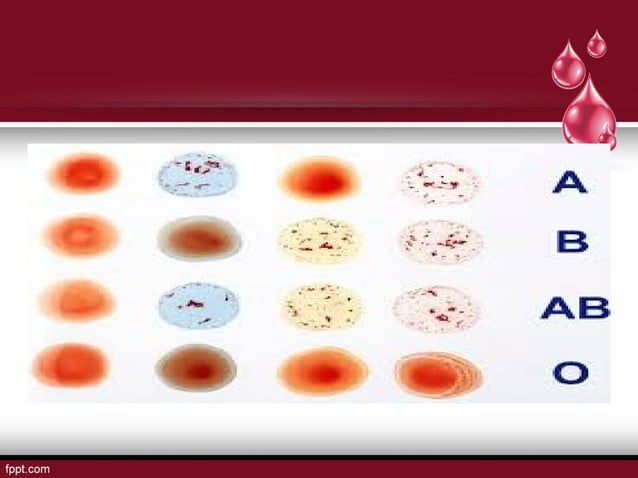Blood group ppt | PPT