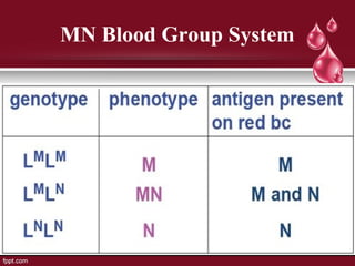 Blood group ppt | PPT