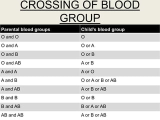 Blood group ppt | PPTX