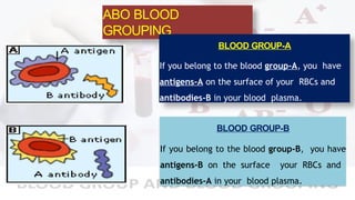 Power point presentation Blood Group PPT.pptx