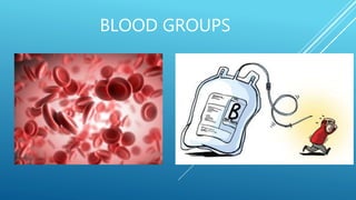 Blood groups | PPTX