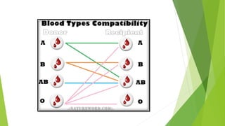 Blood groups | PPTX