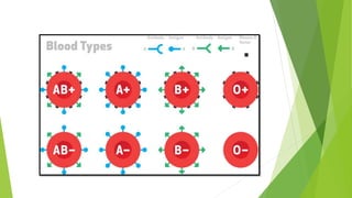Blood groups | PPTX