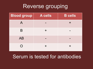 Blood groups | PPTX