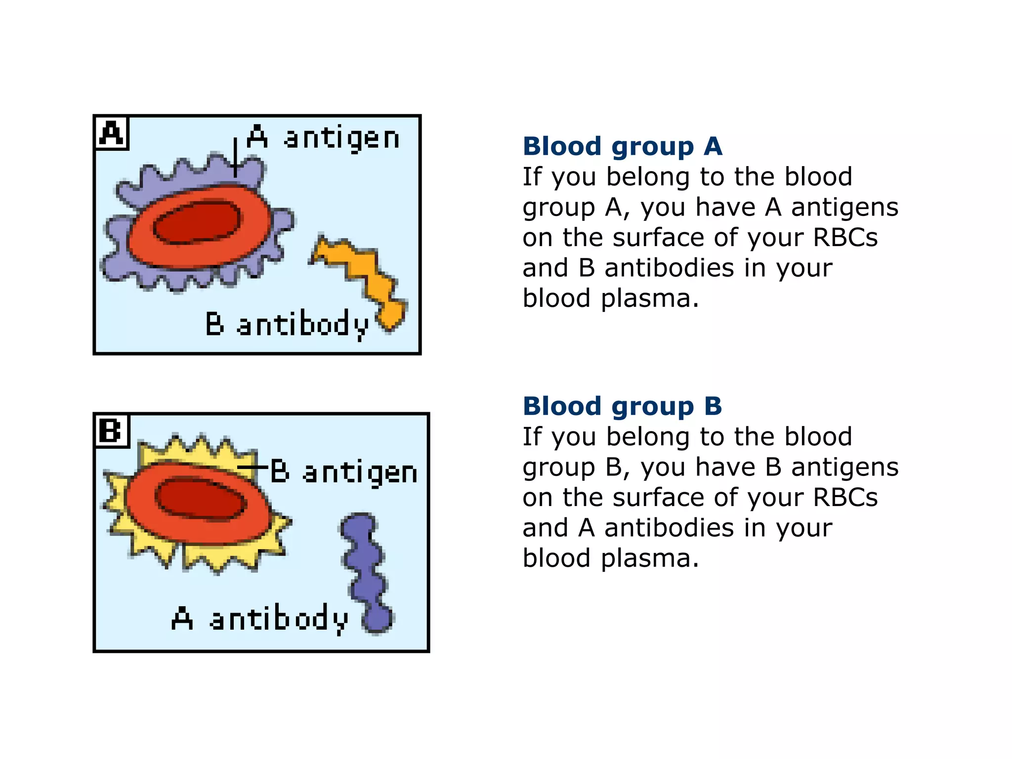 Bloodgroups | PDF