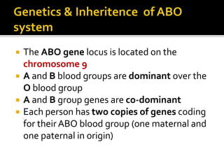 Bloodgroups | PPT