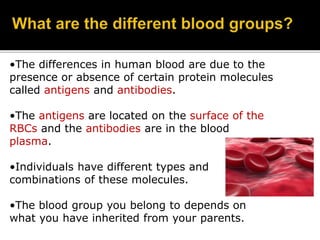 Bloodgroups | PDF