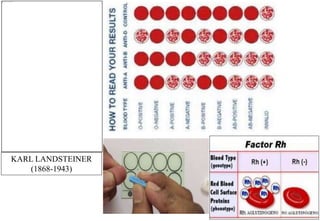 BLOOD GROUPS.pptx