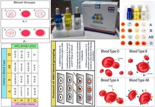 BLOOD GROUPS.pptx