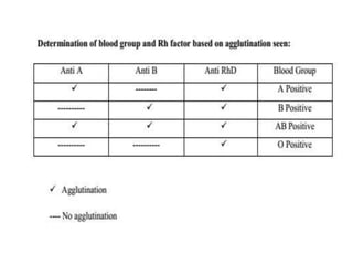 BLOOD GROUPS AND Rh FACTOR.pptx