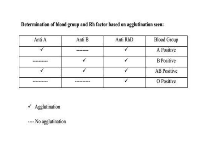 BLOOD GROUPS AND Rh FACTOR.pptx | Blood Disorders | Diseases and Conditions