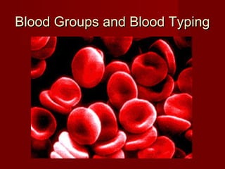 Blood Types: Main Groups, Most Common, And Rarest, 41% OFF
