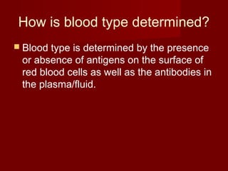 Blood Types: Main Groups, Most Common, And Rarest, 41% OFF