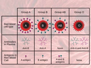 Blood Group Selection in Newborn Transfusion - Dr Padmesh - Neonatology ...