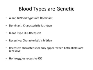 Blood Groups for Students yesyesyes.pptx