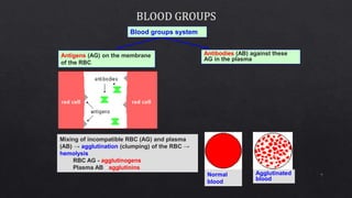 Blood Groups MBBS SPIHER.pptx