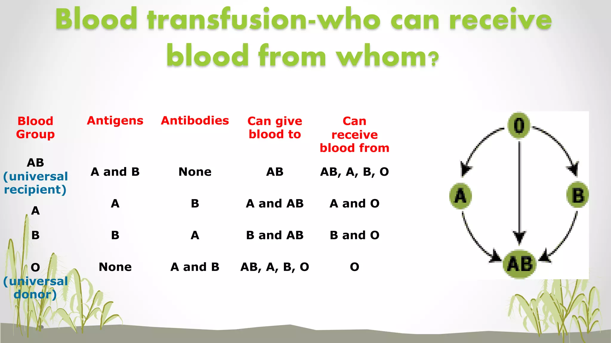 Blood groups,blood transfusion,hazards,blood bank | PPTX