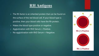 Blood groups PPT - Lakshita Kumari.pptx