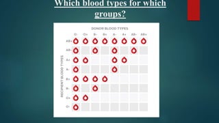 Blood groups PPT - Lakshita Kumari.pptx