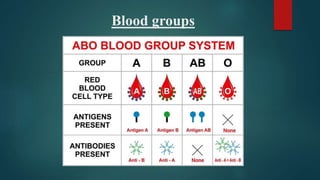 Blood groups PPT - Lakshita Kumari.pptx