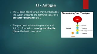 Blood groups PPT - Lakshita Kumari.pptx
