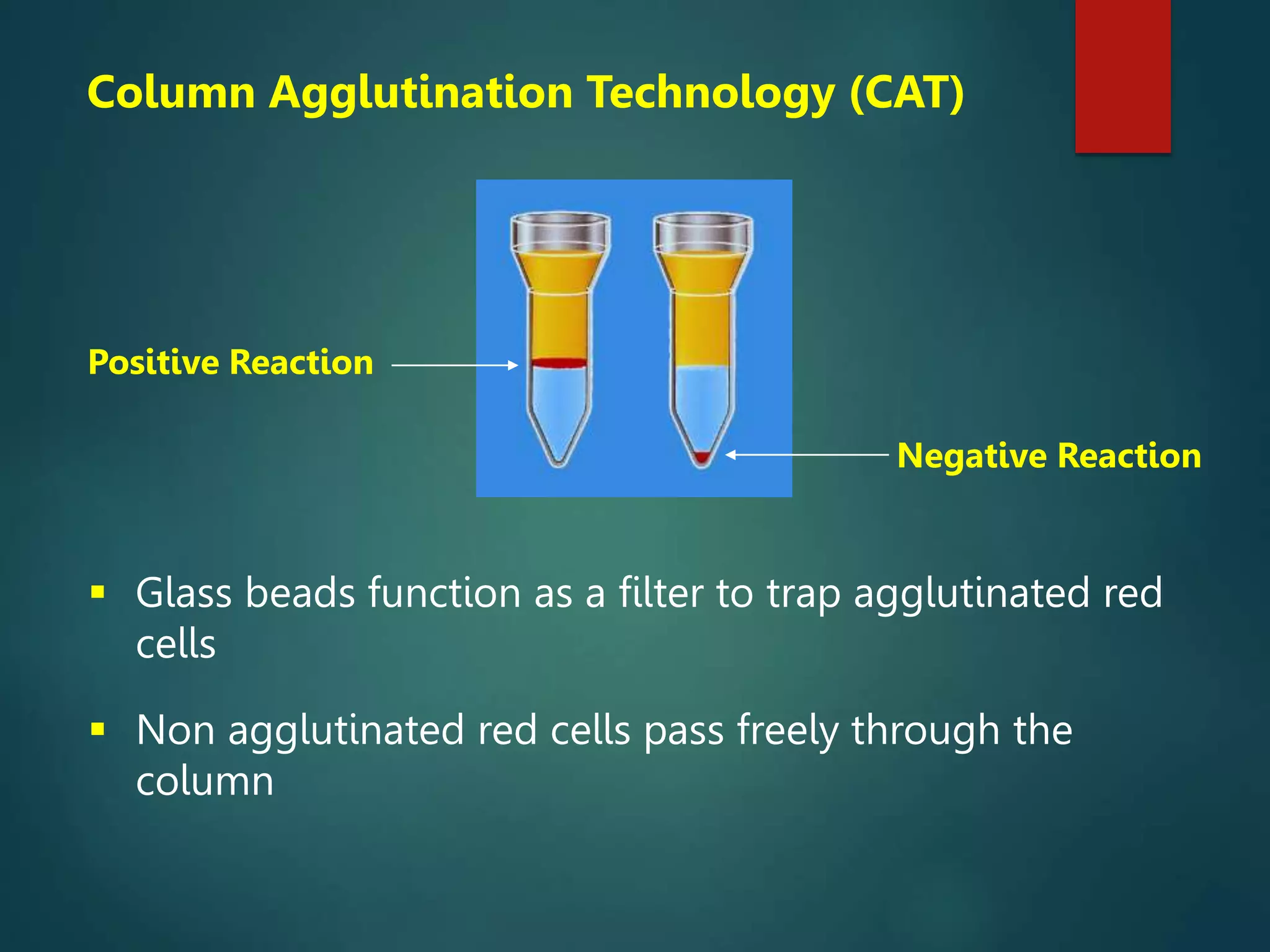 Blood Group Systems_ABO & Rh.ppt